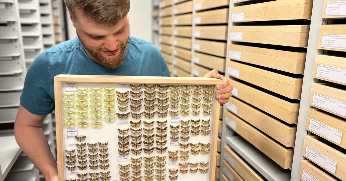 379 | Naturkundemuseum Potsdam erschließt bedeutende ...