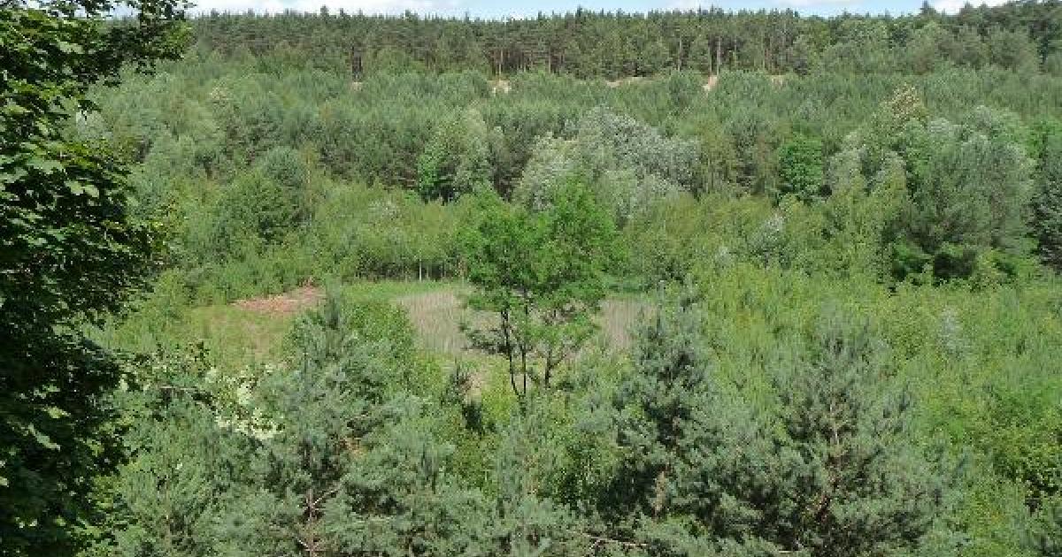 Ravensberge und Forst Potsdam | Landeshauptstadt Potsdam