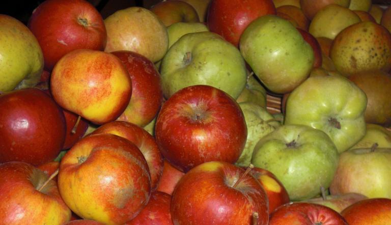 Potsdam's rural areas | Landeshauptstadt Potsdam