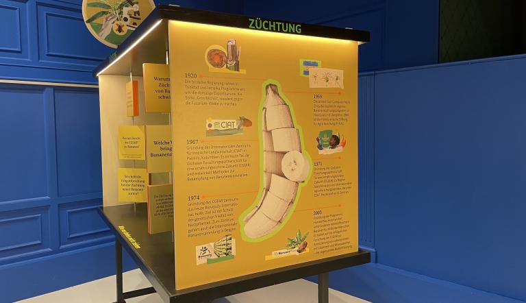 BananaRama - eine Forschungsreise zur Banane | Landeshauptstadt Potsdam